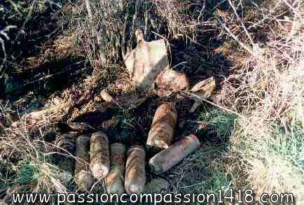 Passion & Compassion 1914-1918 : WW1 militaria and technical ...